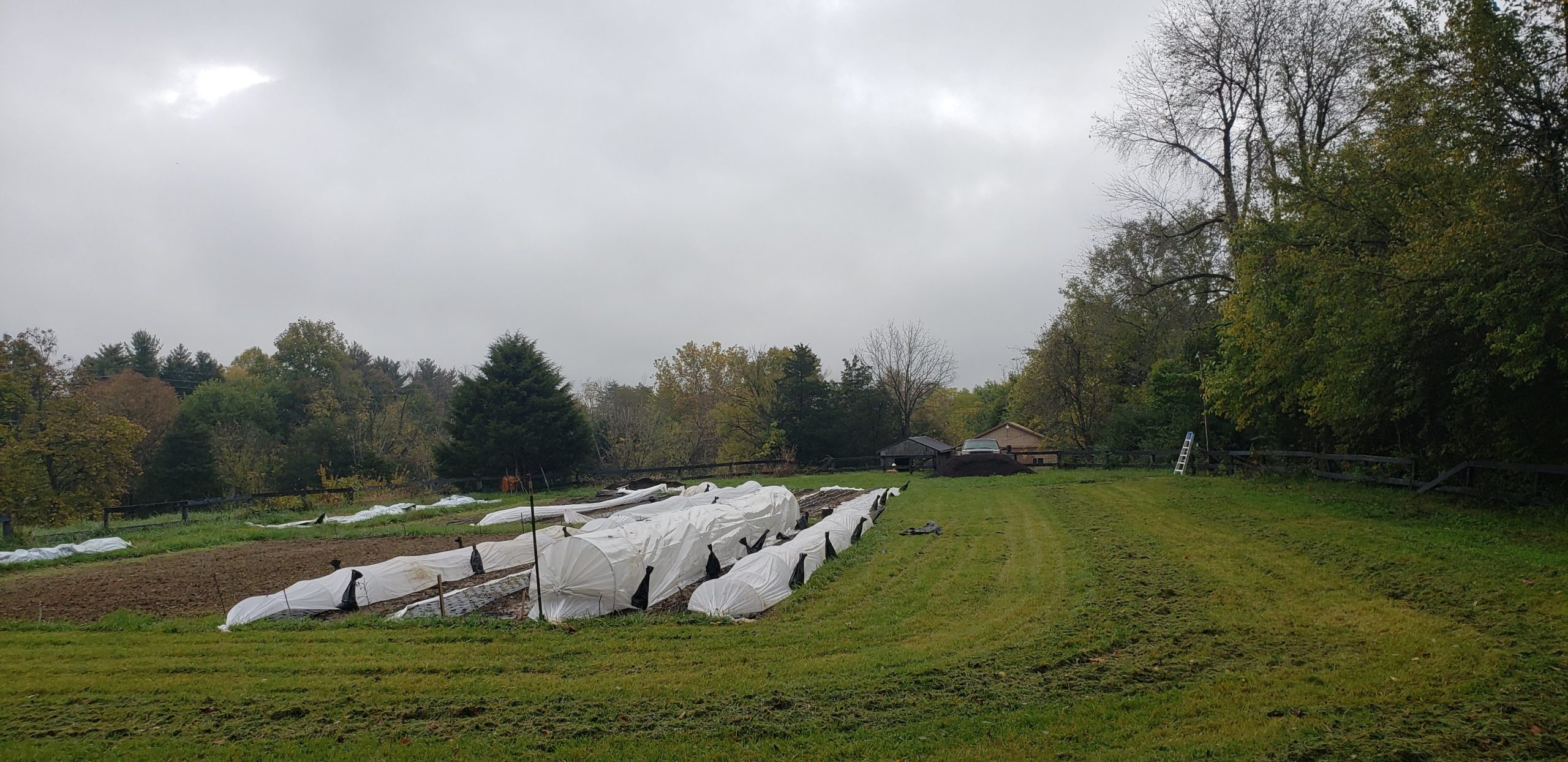 Farm - Uproot Blooms