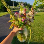 Fresh cut Kentucky Flowers! - Uproot Blooms